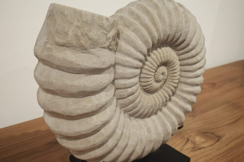 Sandstone Ammonite 10080 - Andrianna Shamaris