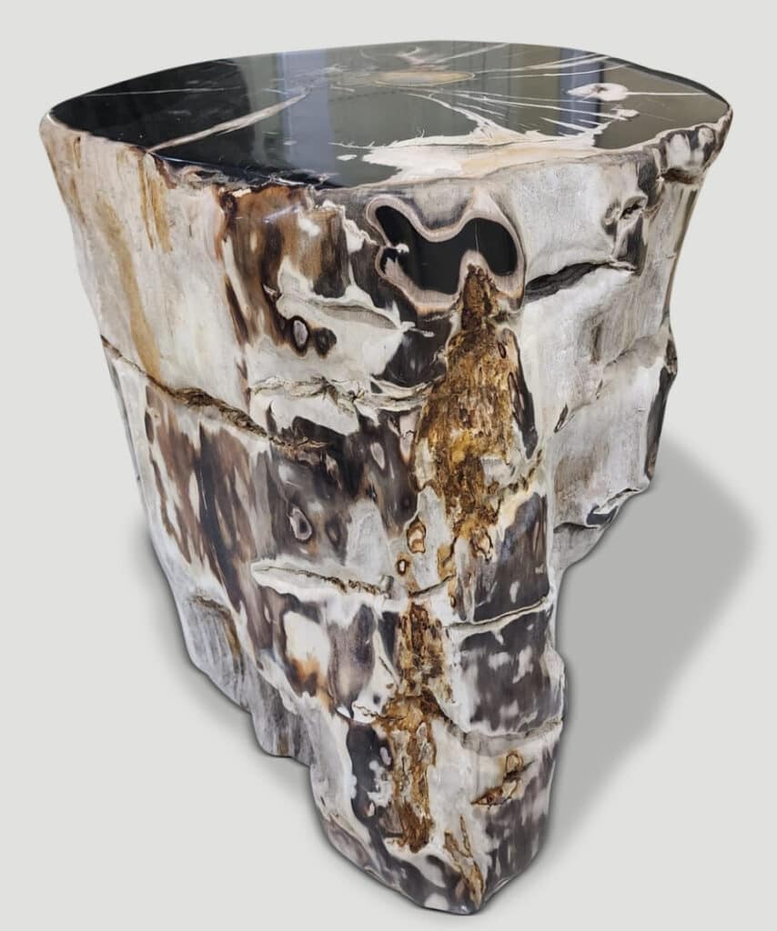 Impressive Petrified Wood Side Table or Pedestal 089M - Andrianna Shamaris